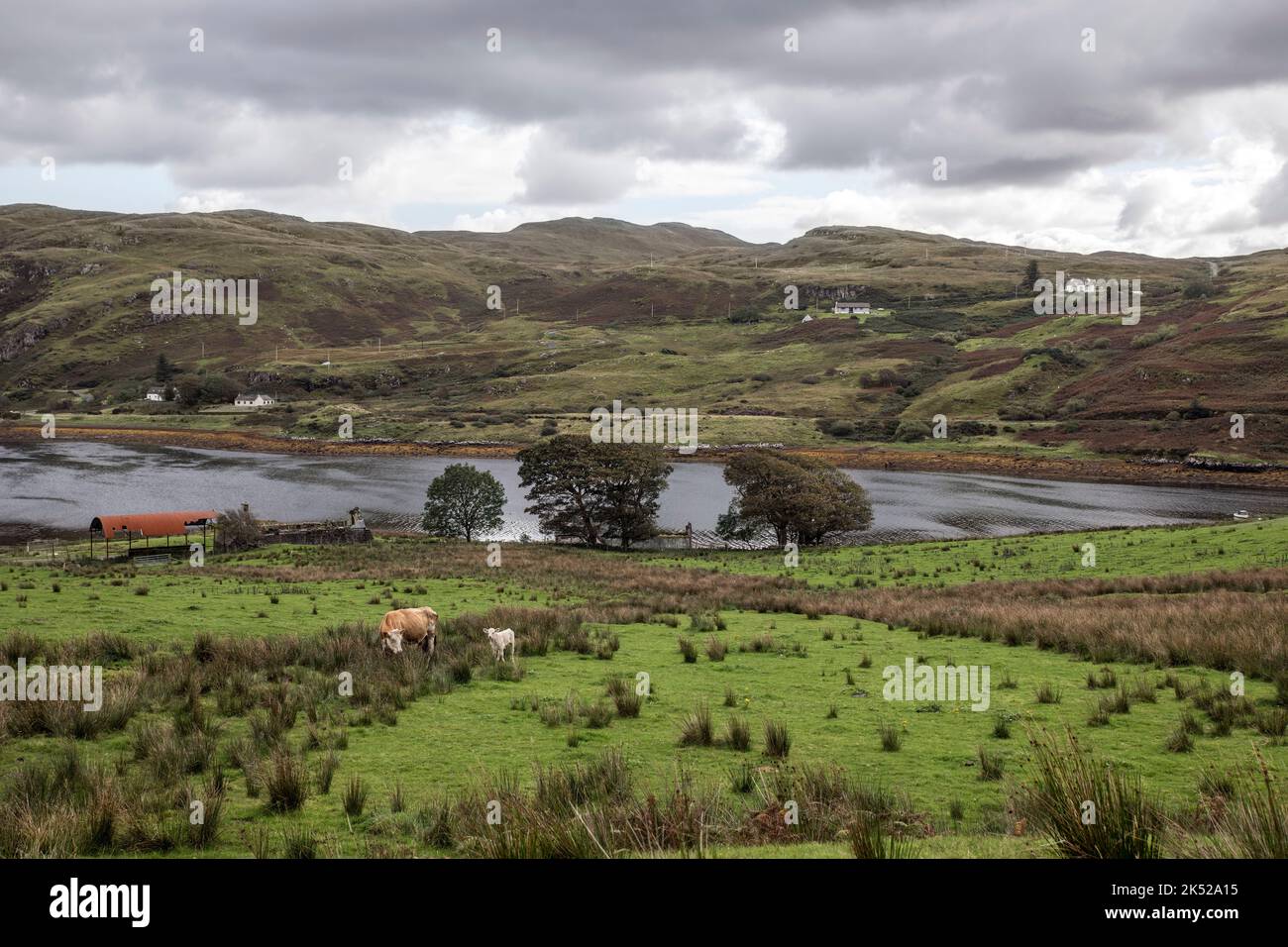 Farm by loch at Struan on west coast of Isle of Skye Stock Photo - Alamy