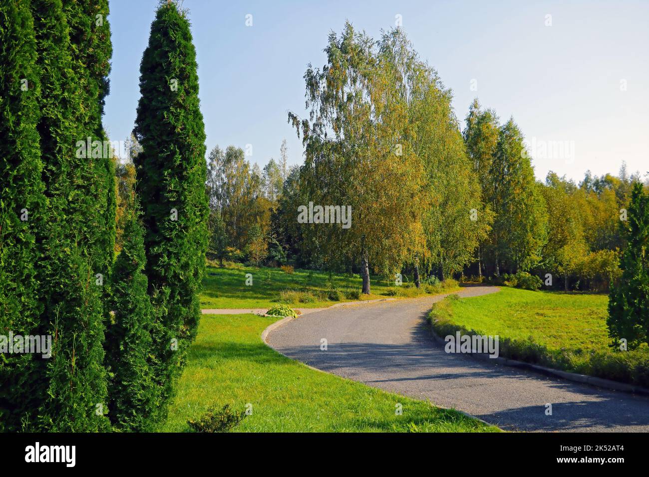 A landscape shot of a path in a beautiful park with lush greenery in ...