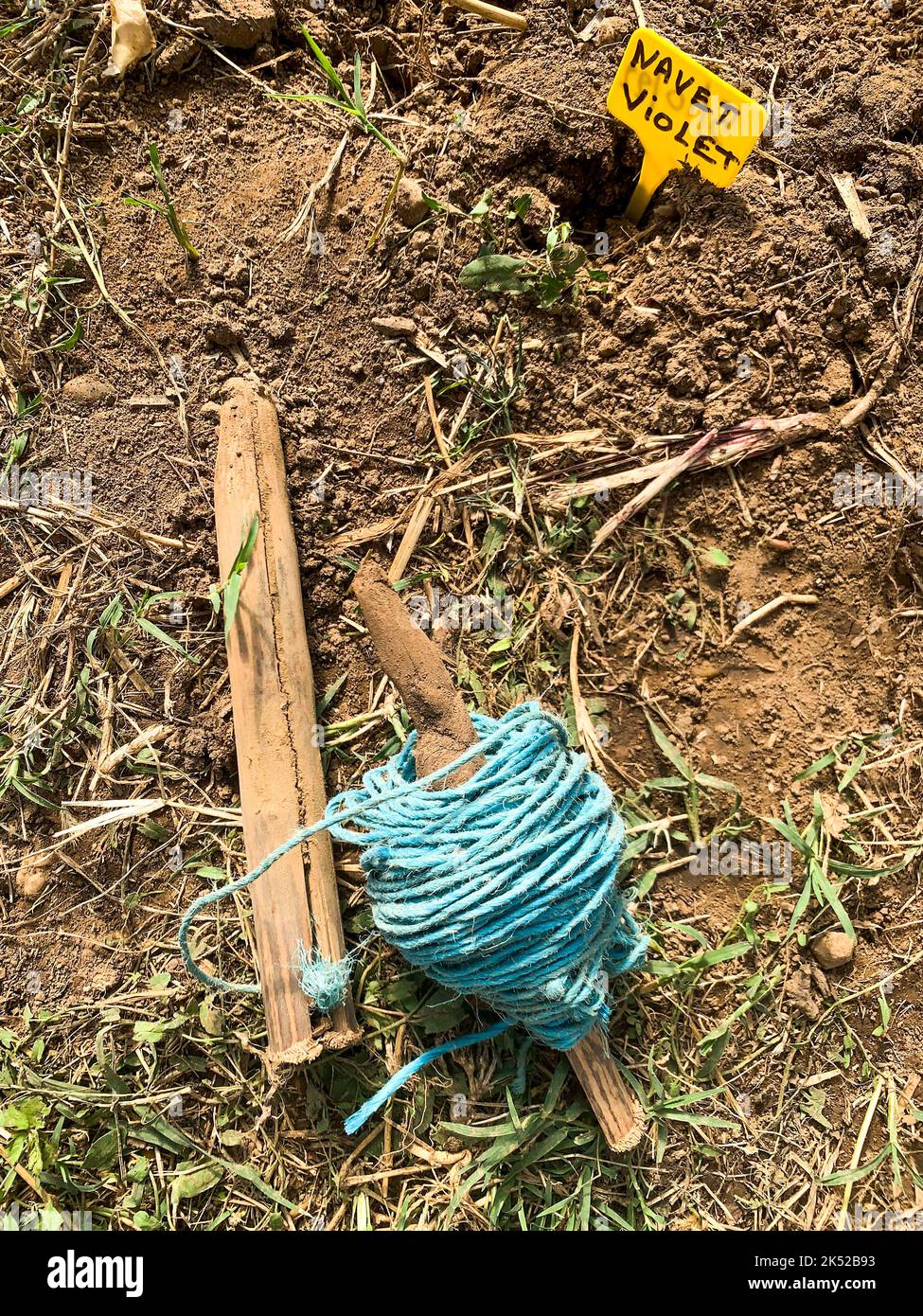 Vegetable cultivation, sowing tools, Saint-Priest, Rhone, AURA Region ...
