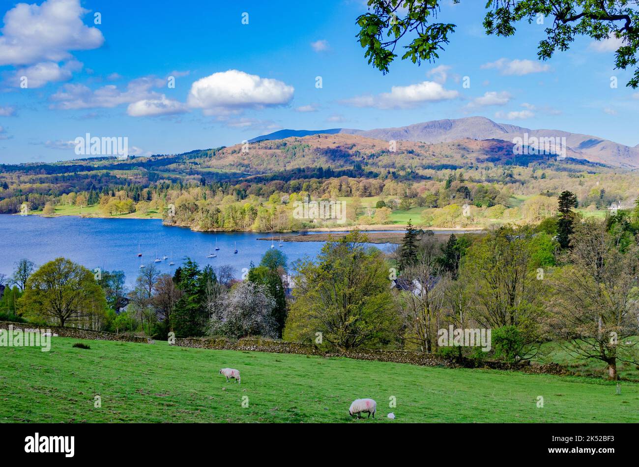 View of Lake Windermere and Lakeland Fells Mountains from Skelghyll ...