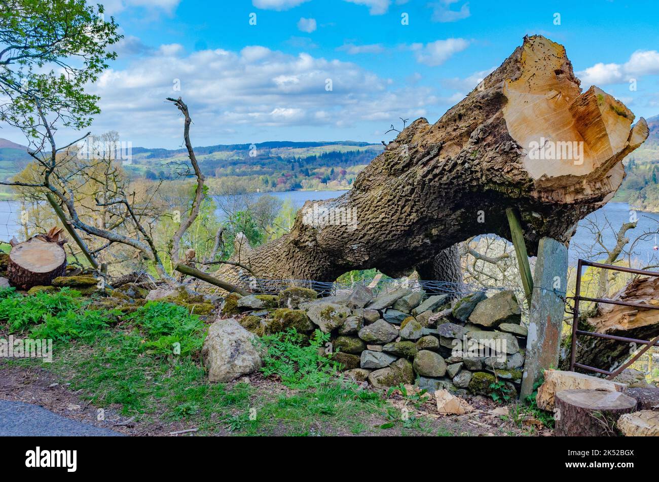 Dry stone wall damage hi-res stock photography and images - Alamy
