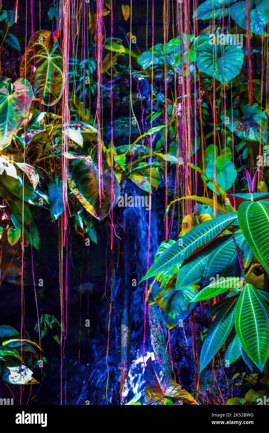 A vertical shot of plants and vines with a water cascade illuminated ...