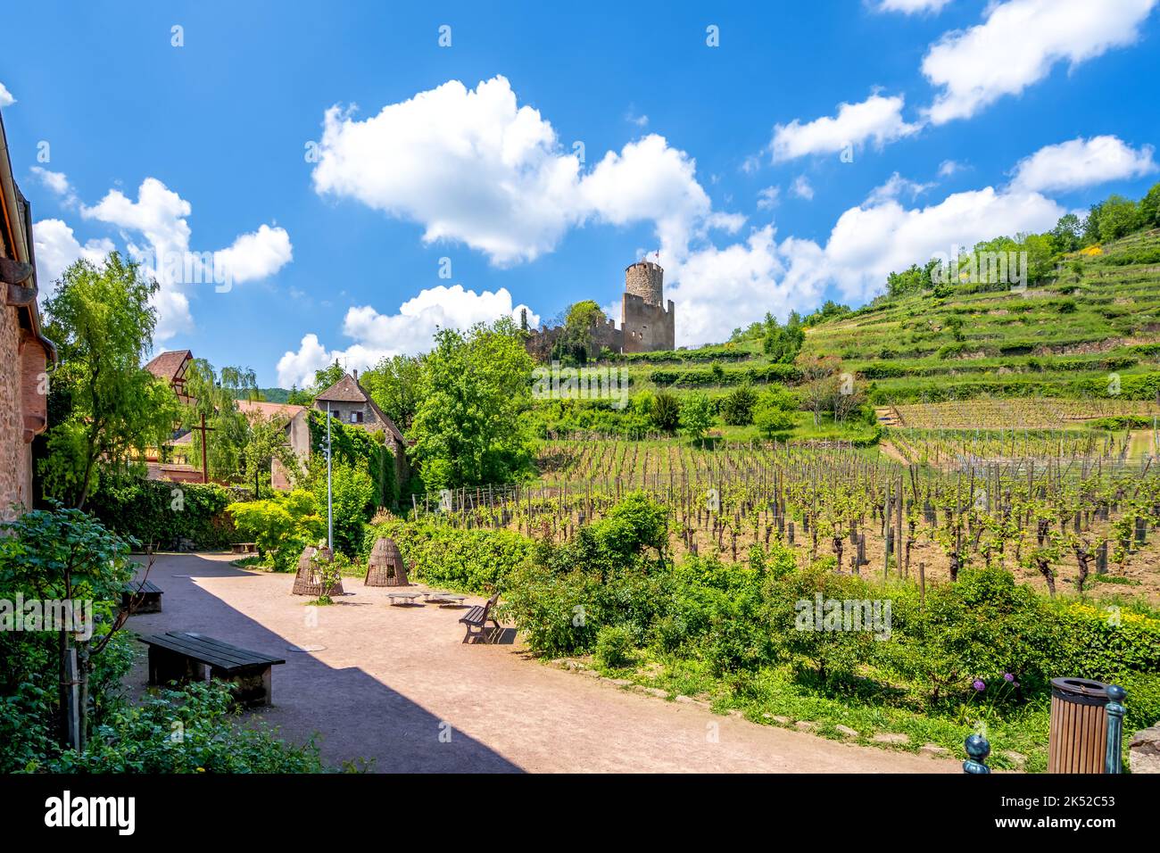 Historical city of Kaysersberg, Alsace, France Stock Photo - Alamy