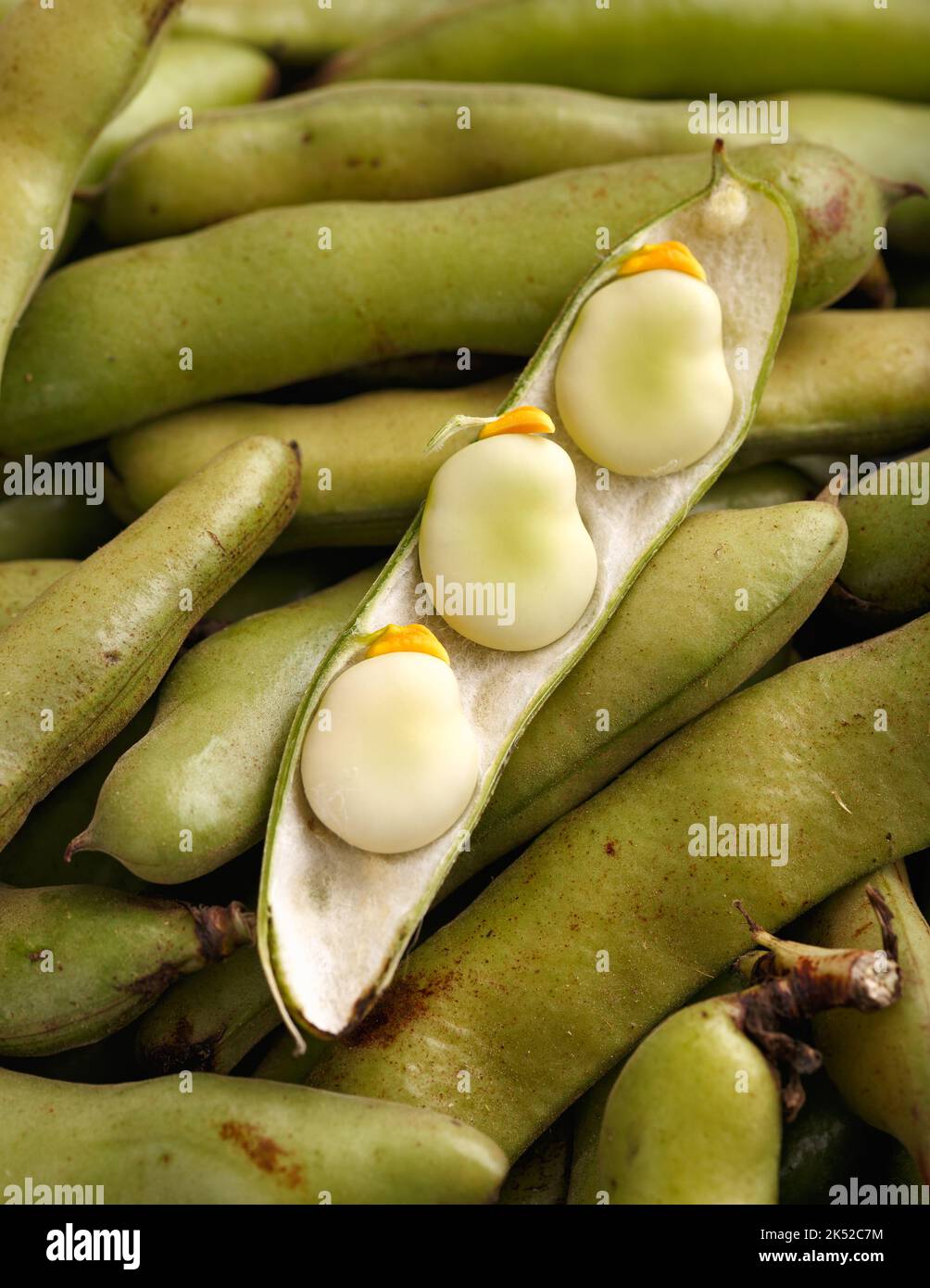 Very large beans hi-res stock photography and images - Alamy