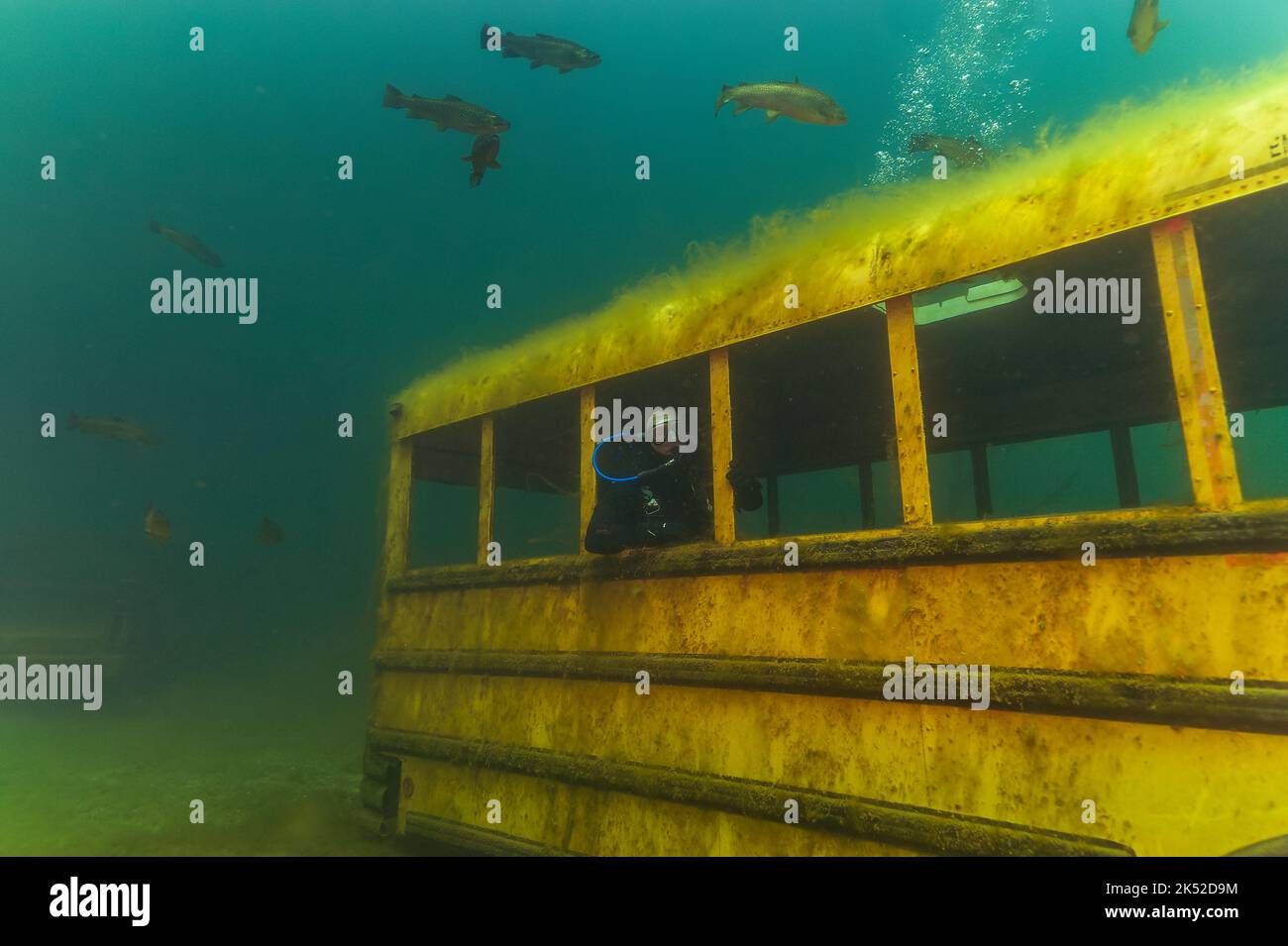 Ottawa OH - August 3rd 2022: SCUBA diver looking outside a school bus ...