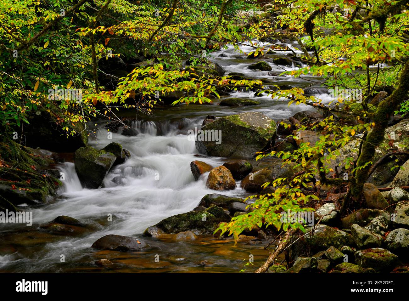 Cascades in the Middle prong of the Little Pigeon River in Great Smoky ...