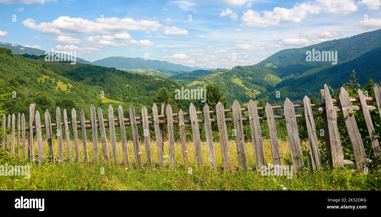 rural mountain landscape in summer. vacation in carpathian countryside. grassy meadows and ...