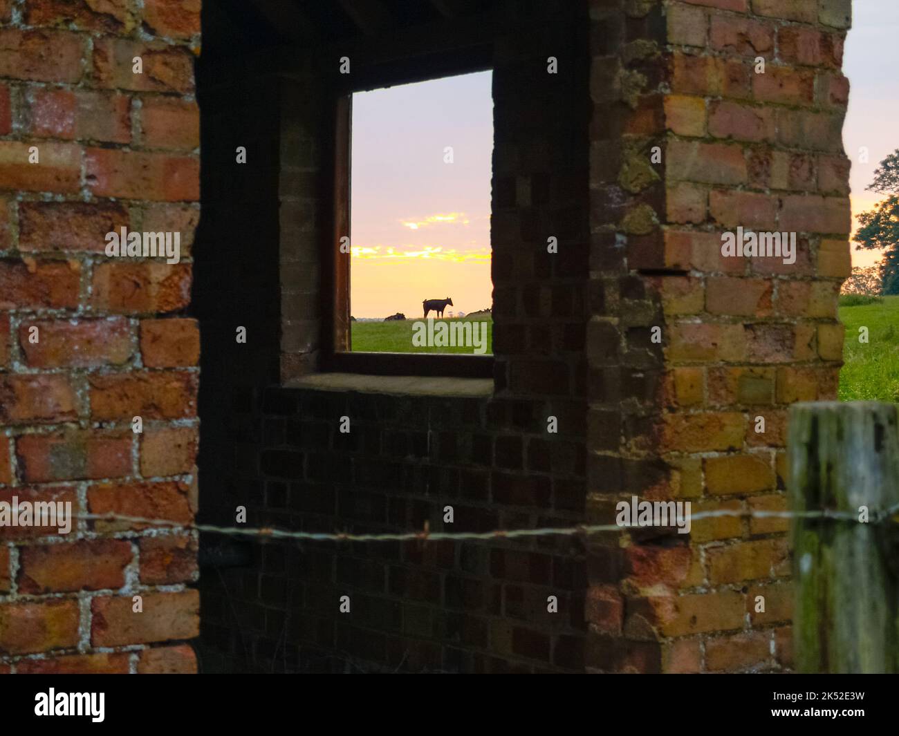 View of farm and animals through window of old building in rural United ...