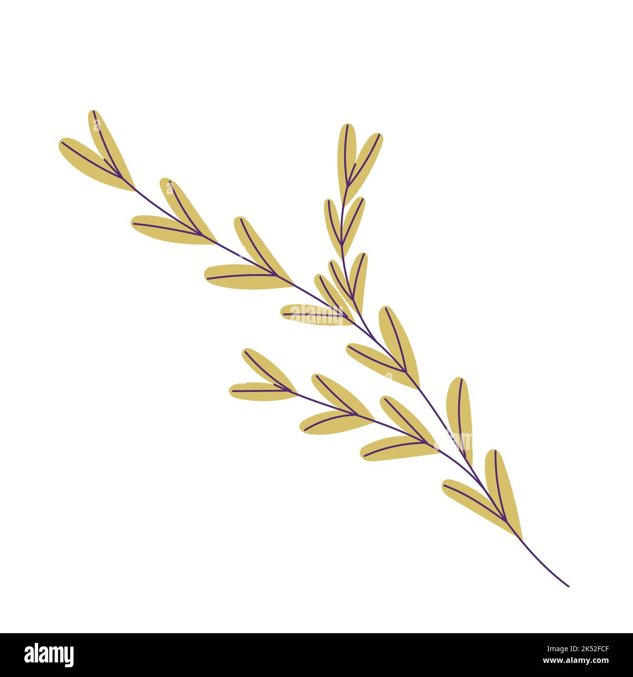 Sprig dried leaves Stock Vector Images - Alamy