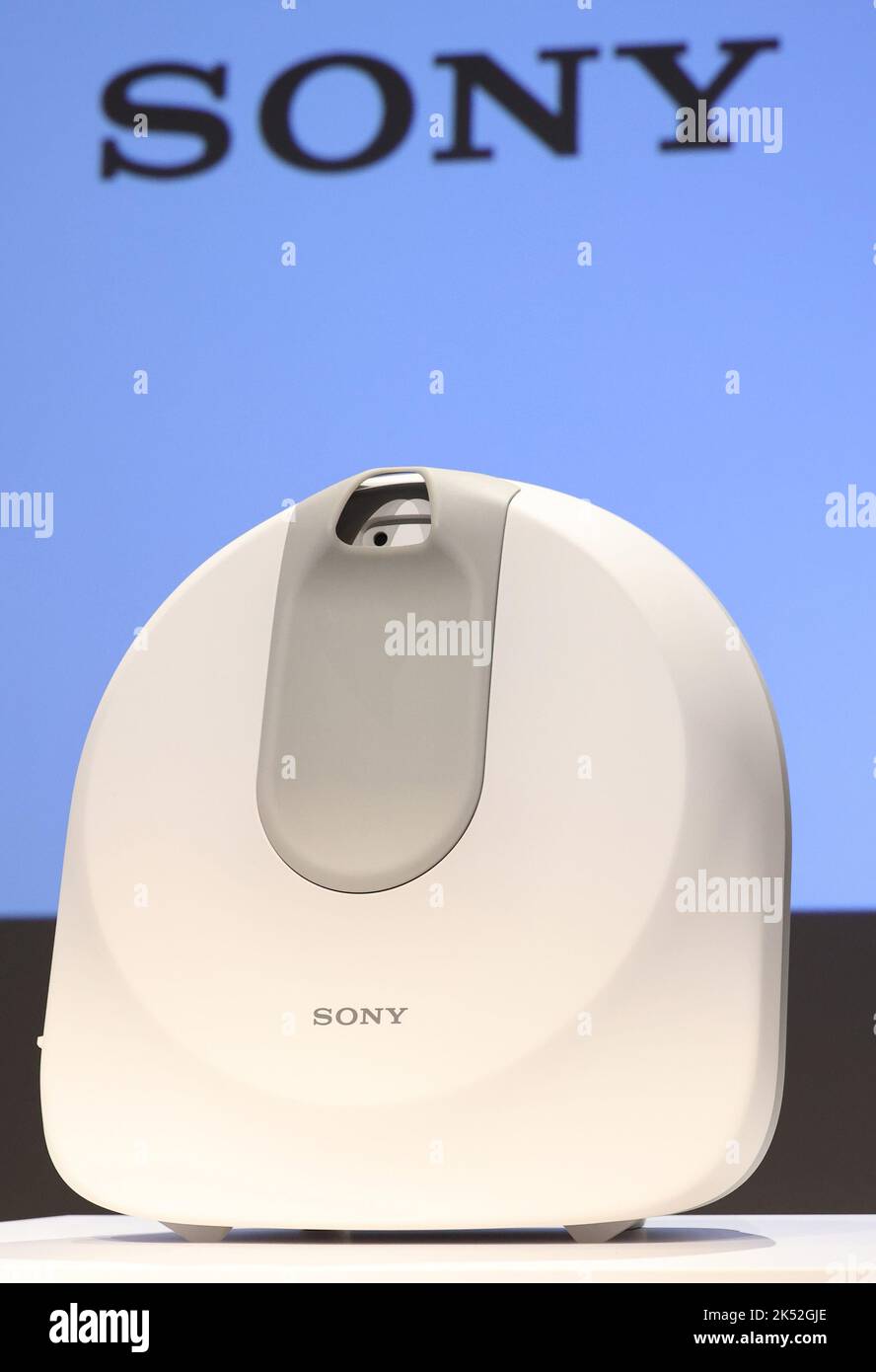 Olfactory system hi-res stock photography and images - Alamy