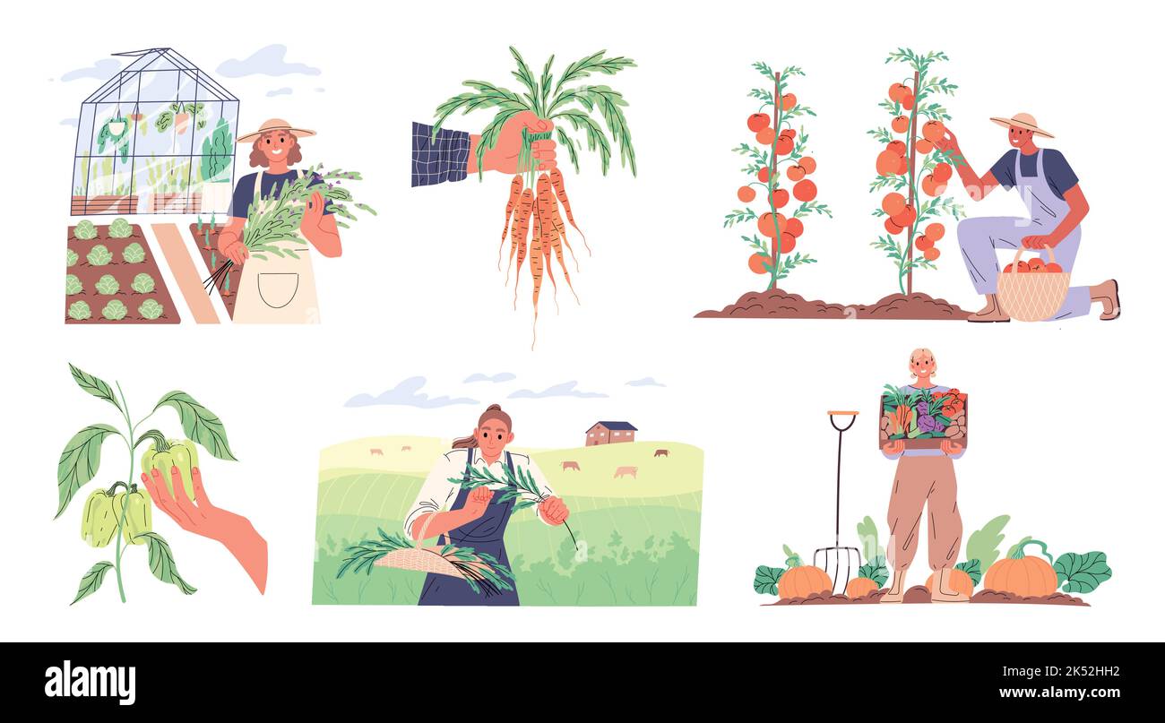 Agriculture crop farm farmer farming field harvesting labor rural Stock Vector Images - Alamy