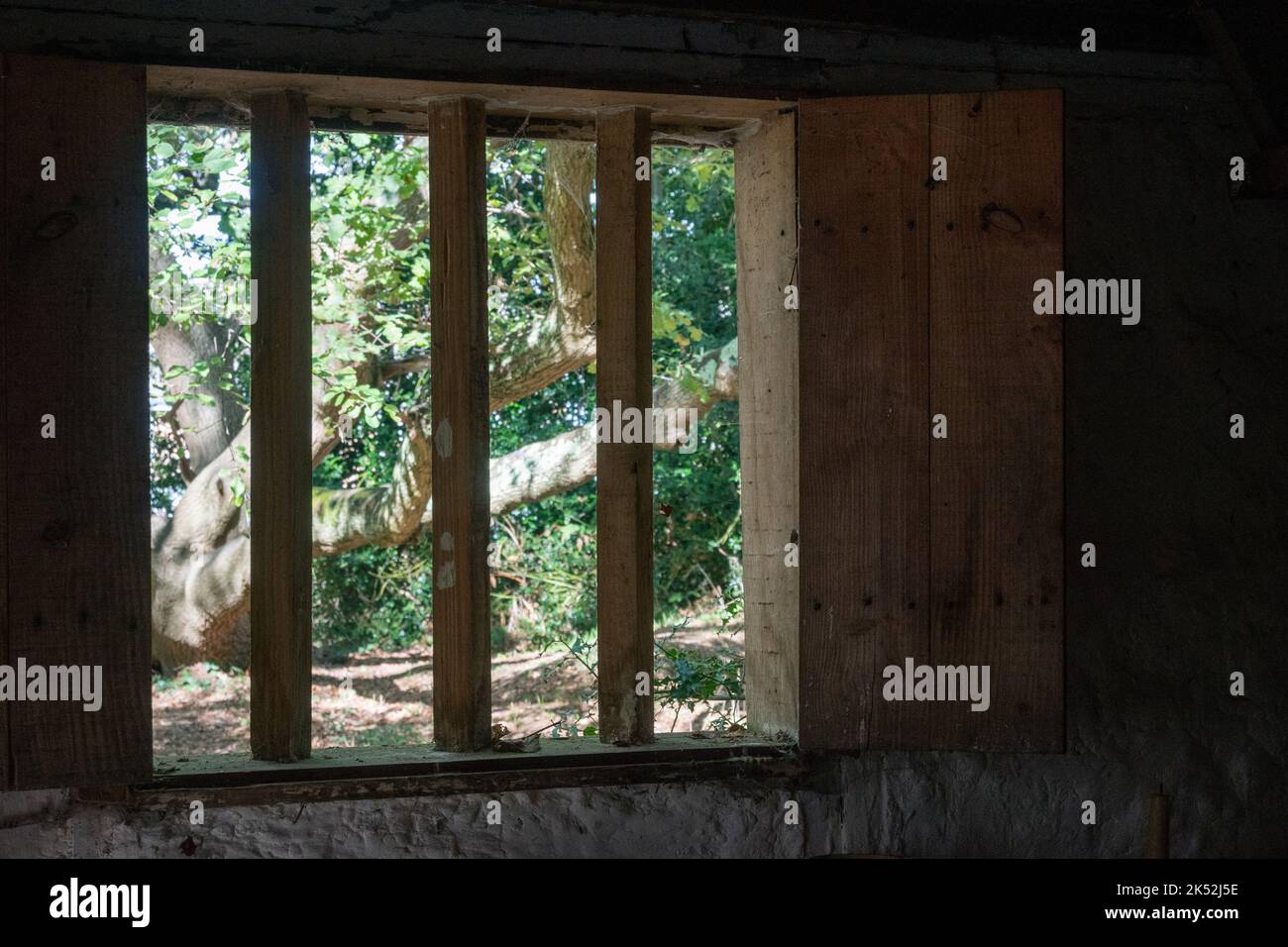 Traditional slatted windows in a recreation of a 1642 village dwelling ...