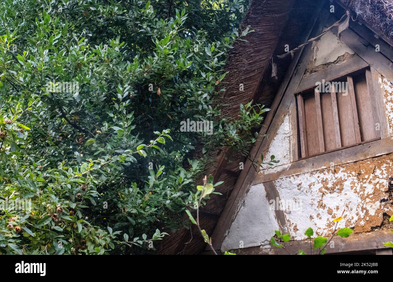 Slatted window in a building, part of the medieval recreation of a ...