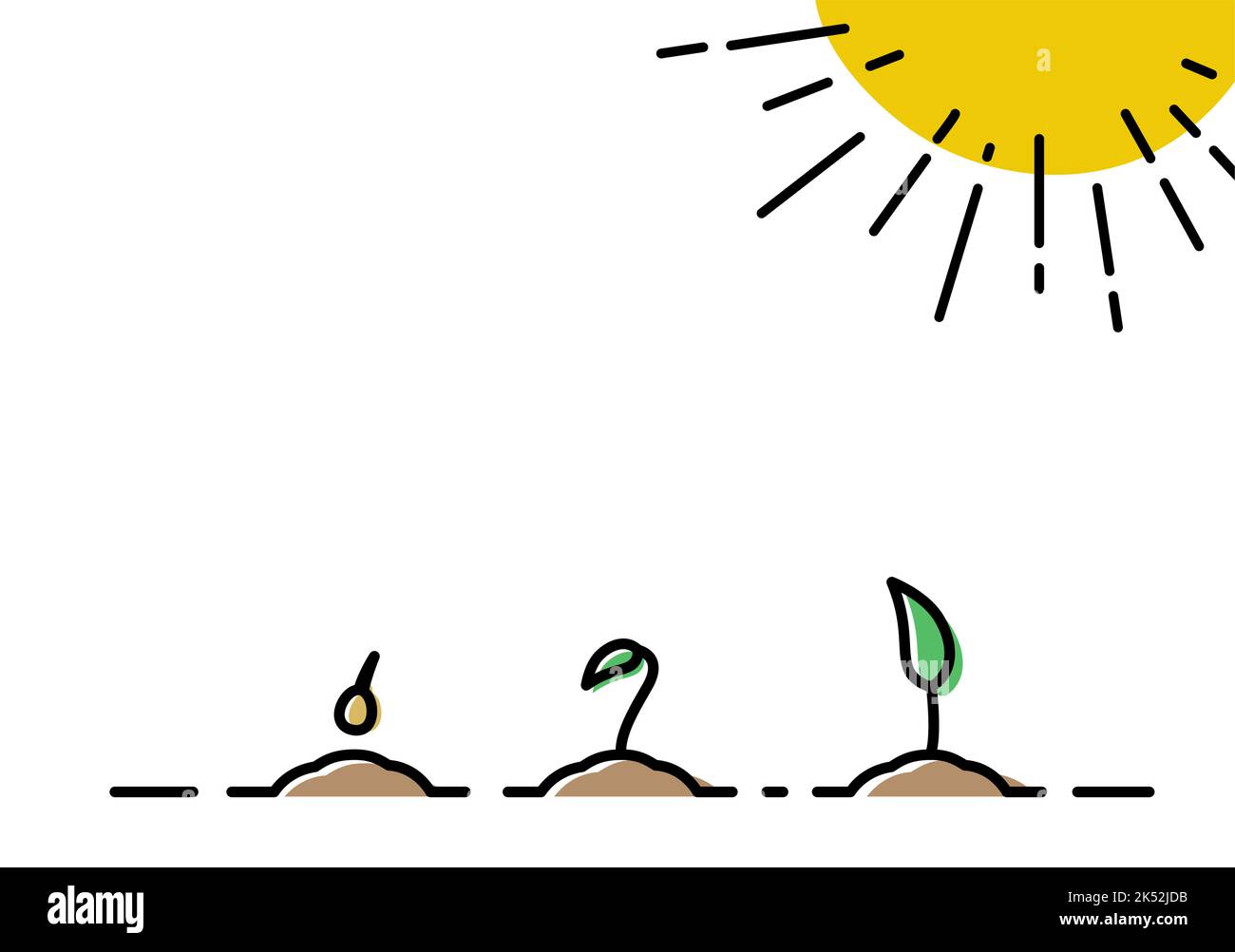 growth stages of a tree from a leaf to a natural plant. Concept of ...