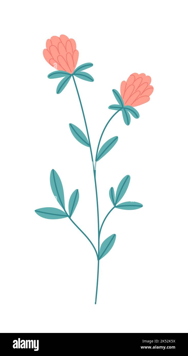 Flower with blooming bud vector Stock Vector Image & Art - Alamy