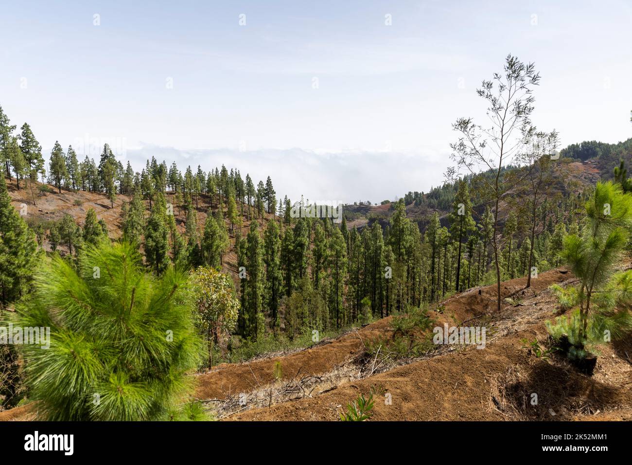 Cap Vert, Santo Antao island, in front of the island of São Vicente ...