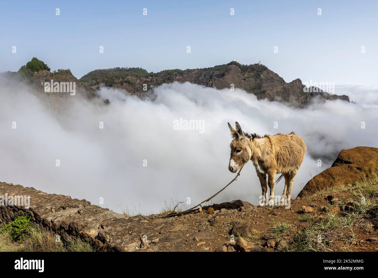 Cape Verde, Santo Antao Island, opposite São Vicente Island, Pico da ...