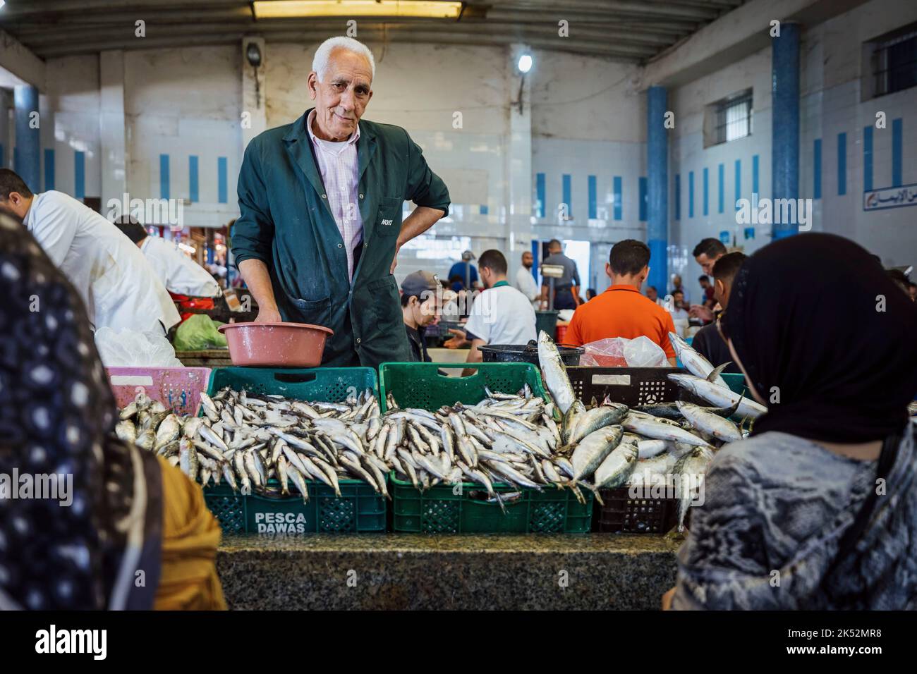 Maroc, région de Tanger-Tétouan, Tanger, la médina, fishing market ...