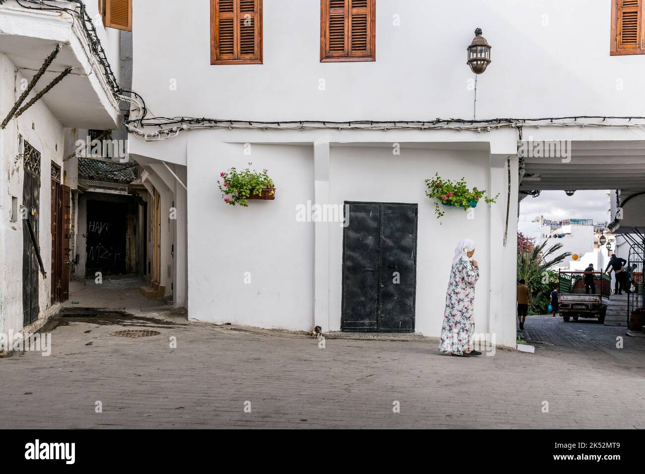 Maroc, région de Tanger-Tétouan, Tanger, la médina, fishing market ...