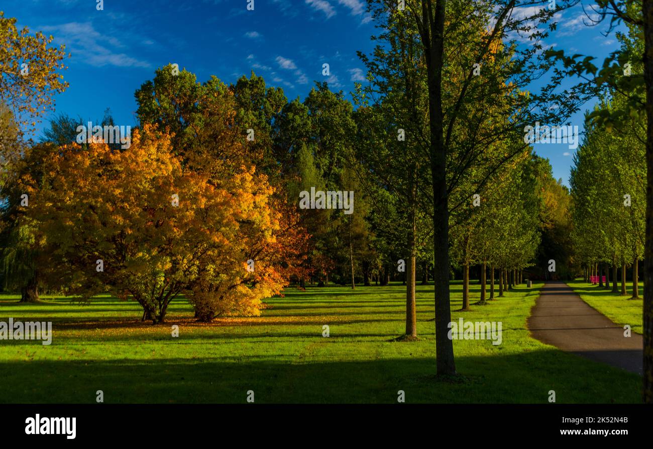 Stromovka park in centre of Ceske Budejovice city with green grass and ...