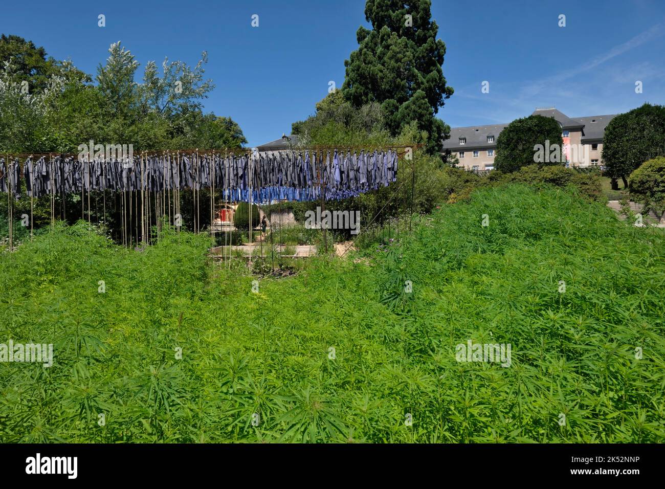 France, Haut Rhin, Husseren Wesserling, Wesserling Park, garden ...