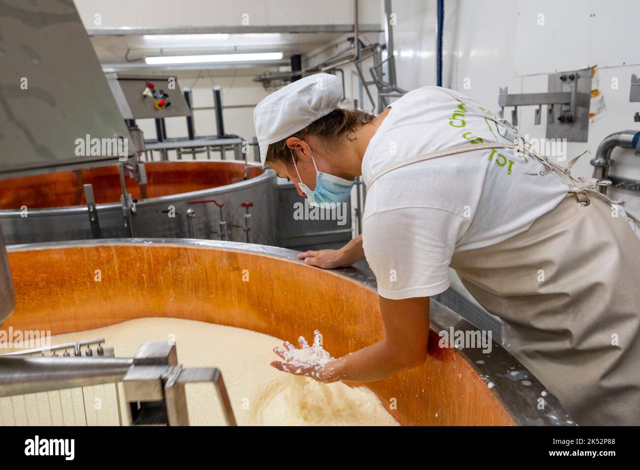 France, Savoie, Chartreuse massif, natural, regional park, Entremont le ...