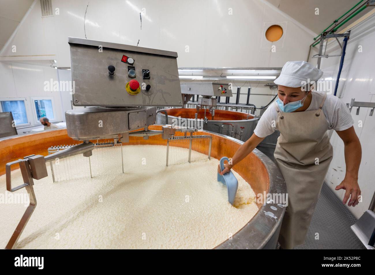 France, Savoie, Chartreuse massif, natural, regional park, Entremont le ...