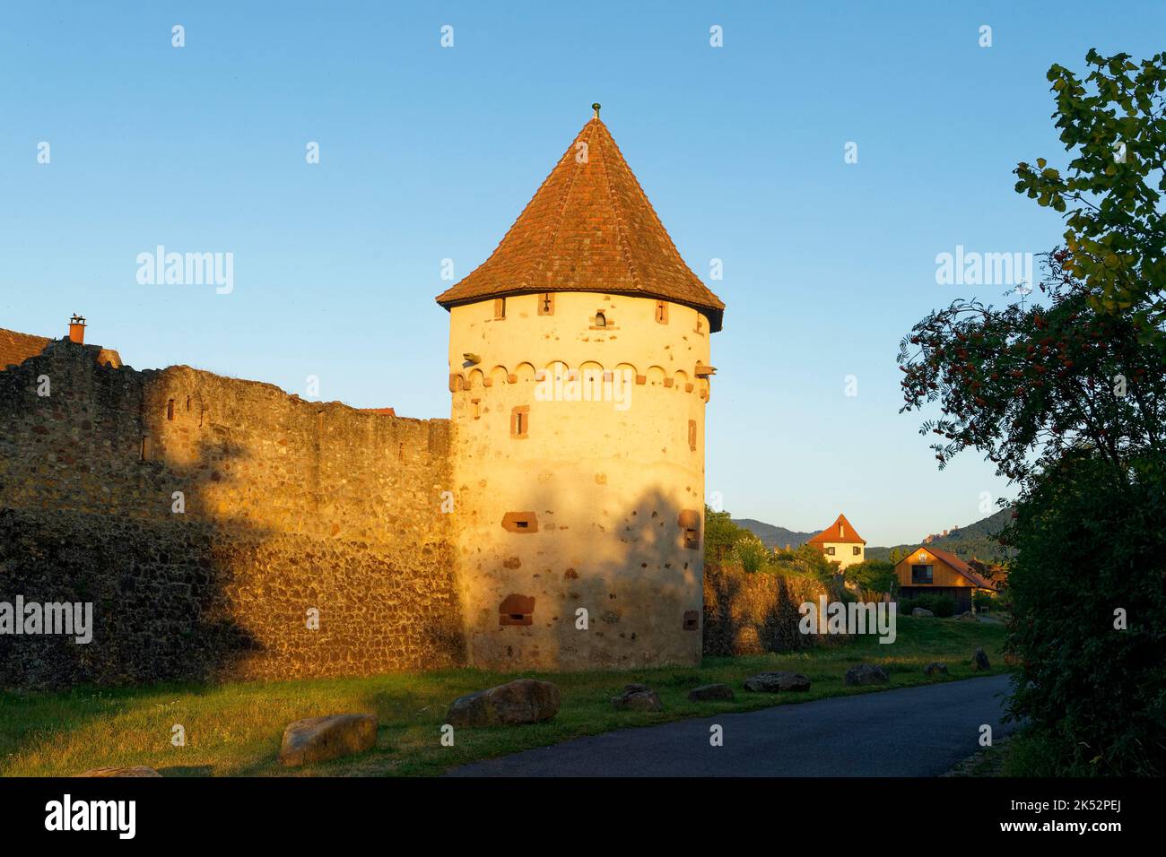 France, Haut Rhin, Alsace wine road, Bergheim, medieval walled ancient ...