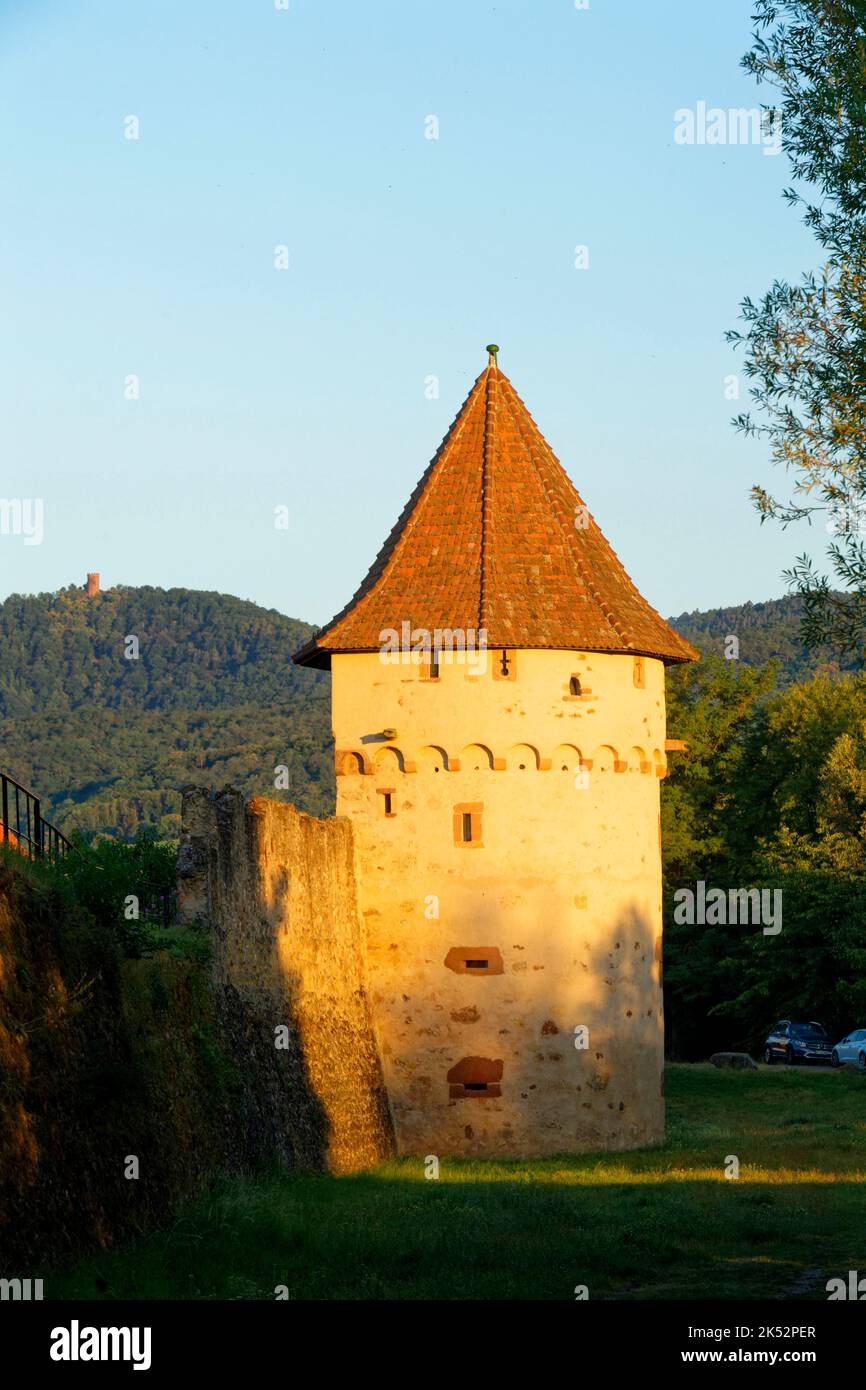 France, Haut Rhin, Alsace wine road, Bergheim, medieval walled ancient ...