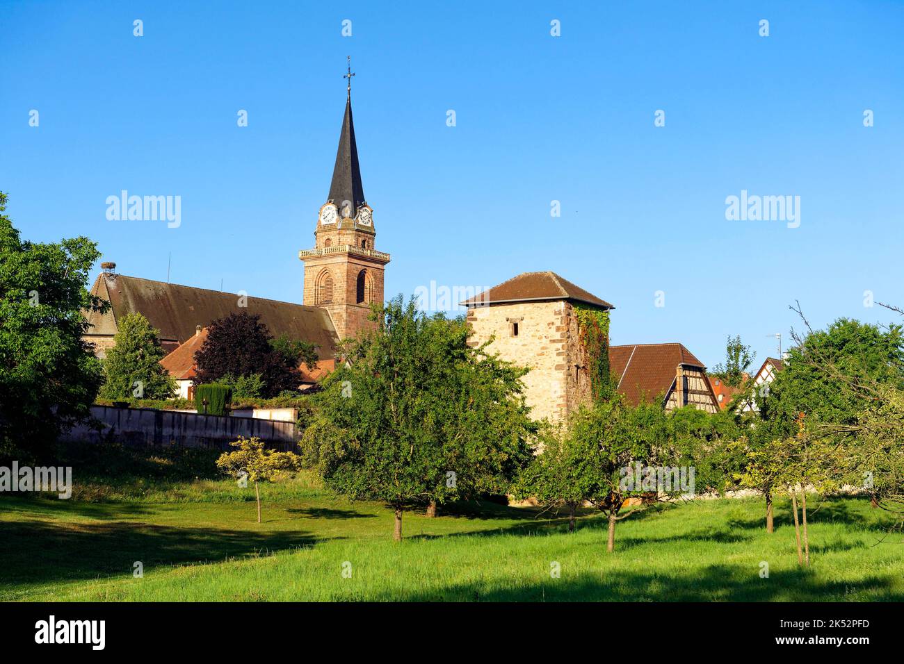France, Haut Rhin, Alsace wine road, Bergheim, medieval walled ancient ...