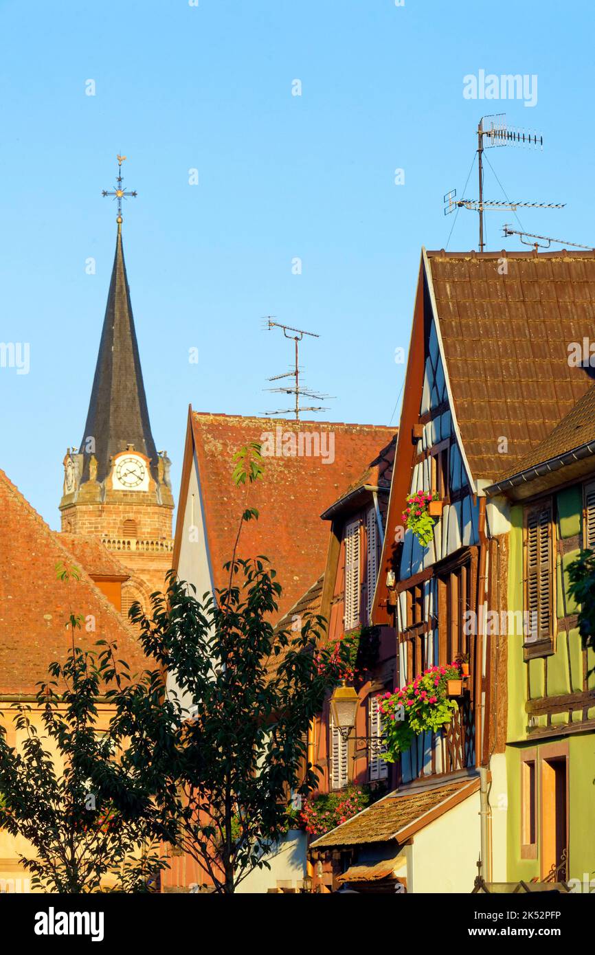 France, Haut Rhin, Alsace wine road, Bergheim, medieval walled ancient ...