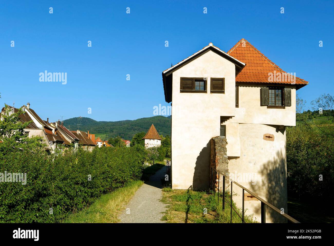 France, Haut Rhin, Alsace wine road, Bergheim, medieval walled ancient ...