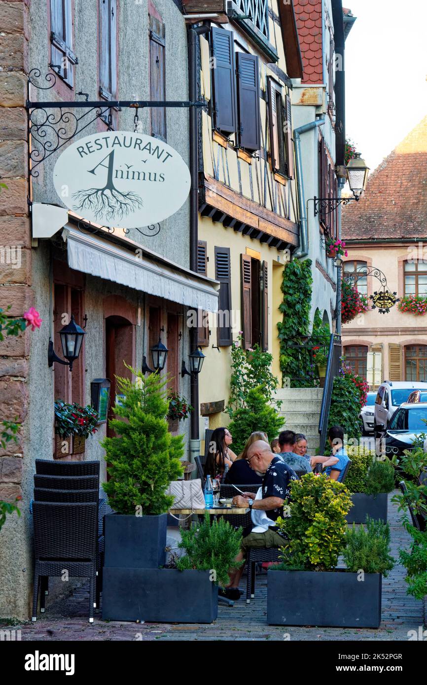 France, Haut Rhin, Alsace wine road, Bergheim, medieval walled ancient ...