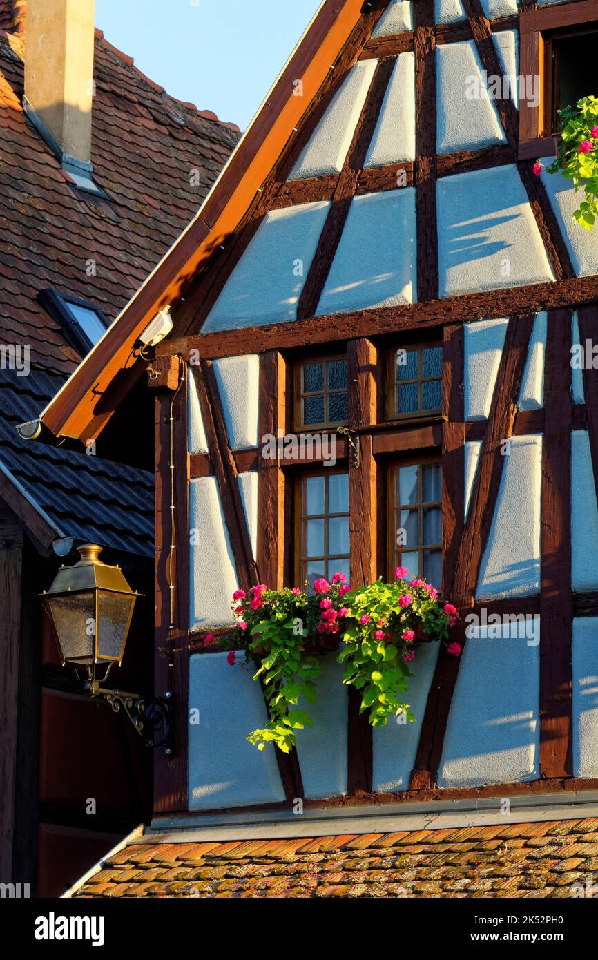 France, Haut Rhin, Alsace wine road, Bergheim, medieval walled ancient ...
