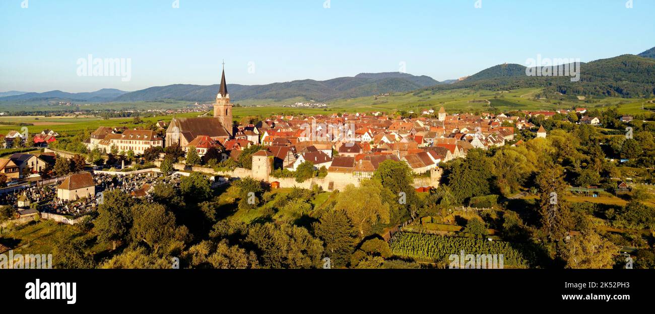 France, Haut Rhin, Alsace wine road, Bergheim, medieval walled ancient ...
