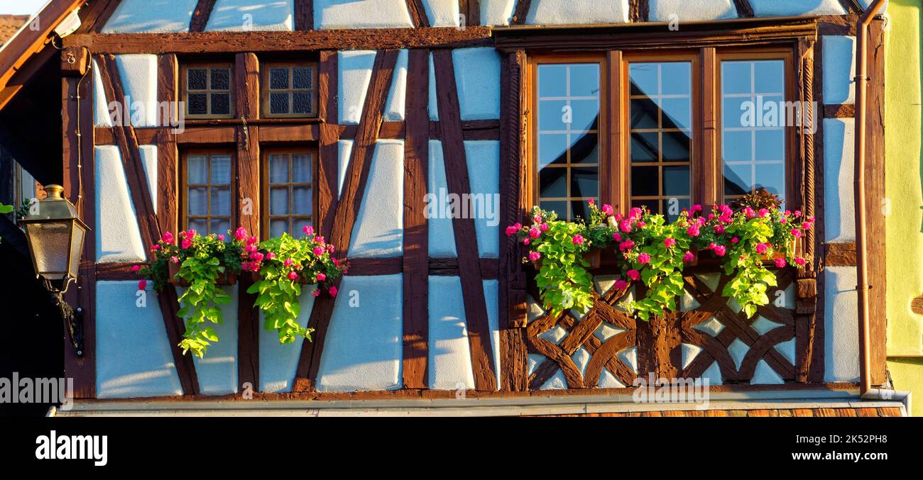 France, Haut Rhin, Alsace wine road, Bergheim, medieval walled ancient ...