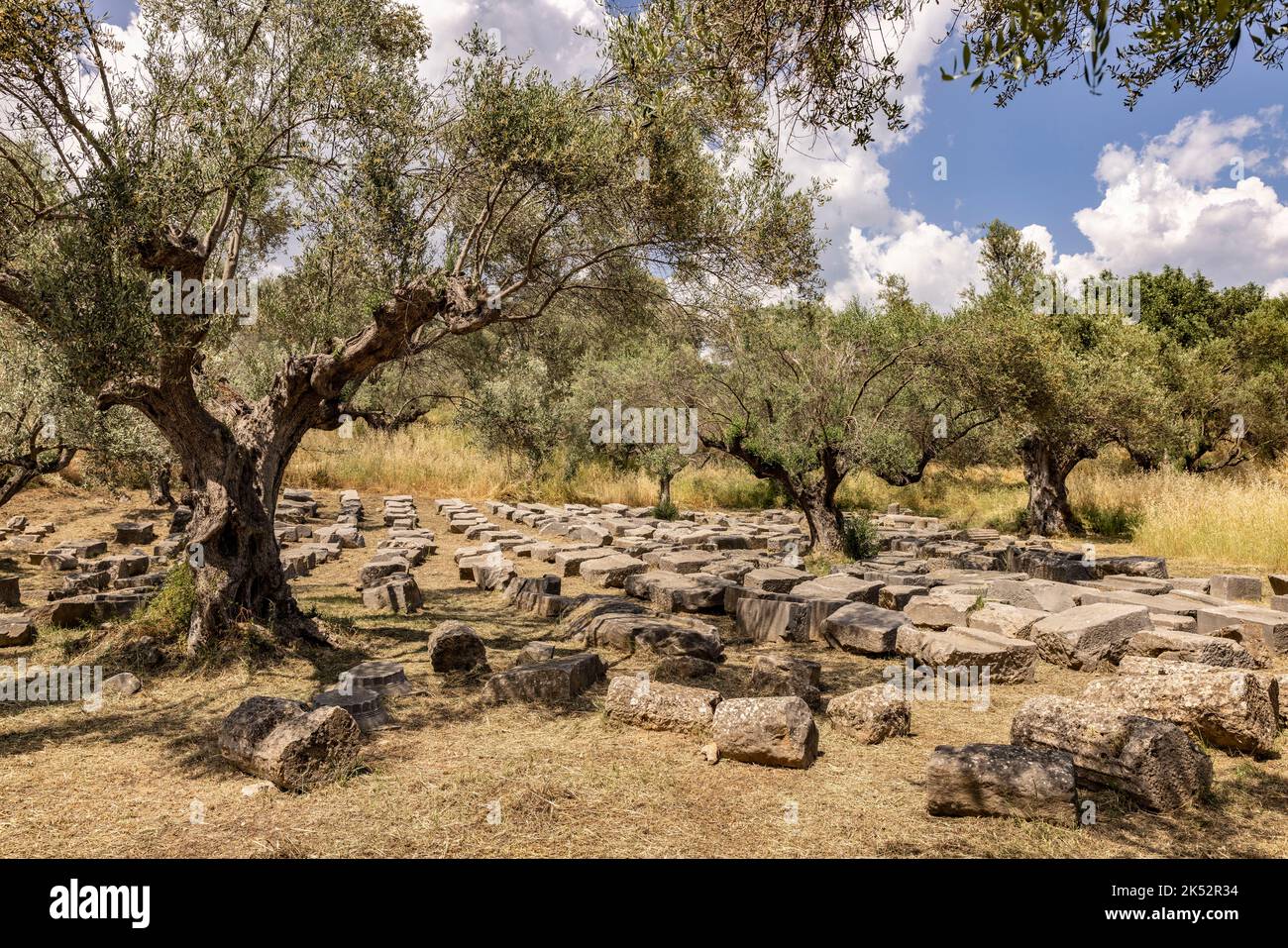 Greece, Peloponnese, Laconia, Sparta, on the excavation site of the ...