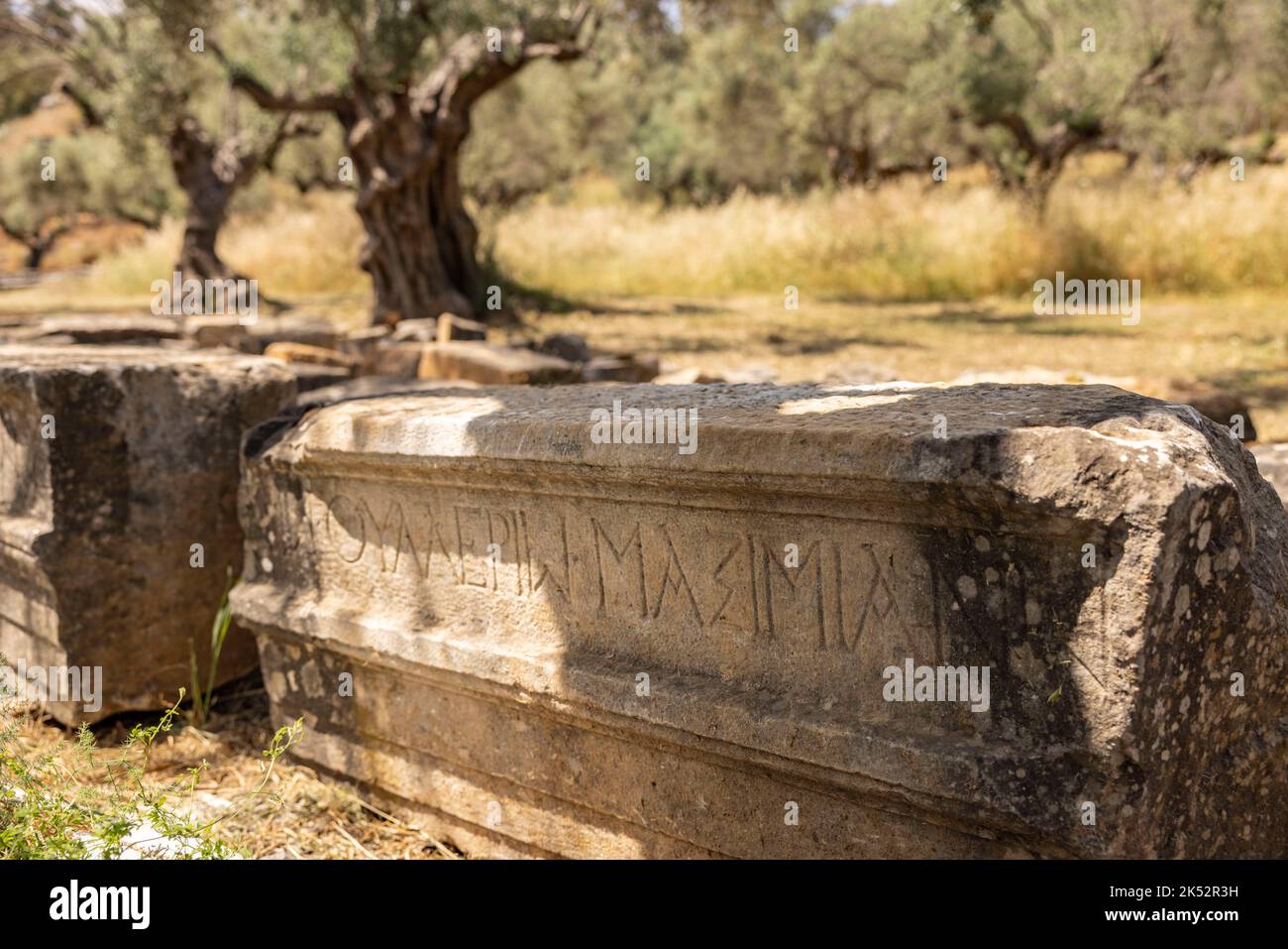 Greece, Peloponnese, Laconia, Sparta, on the excavation site of the ...