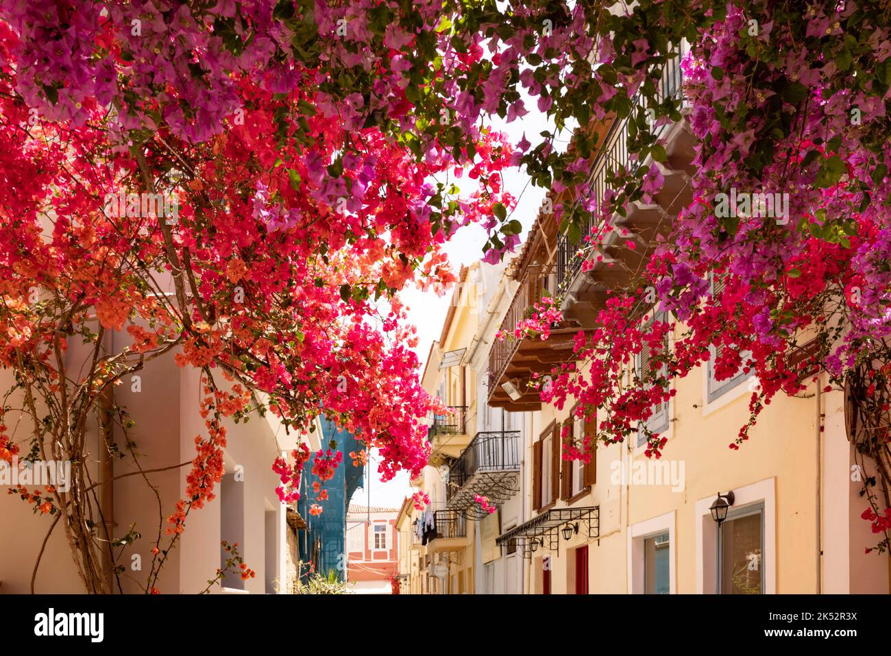Under a bougainvillea arbor, in the old town of Nafplion, Argolis ...