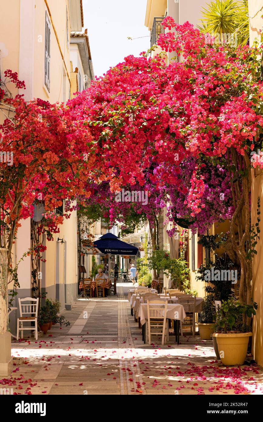 Under a bougainvillea arbor, Restaurant in the old town of Nafplion ...