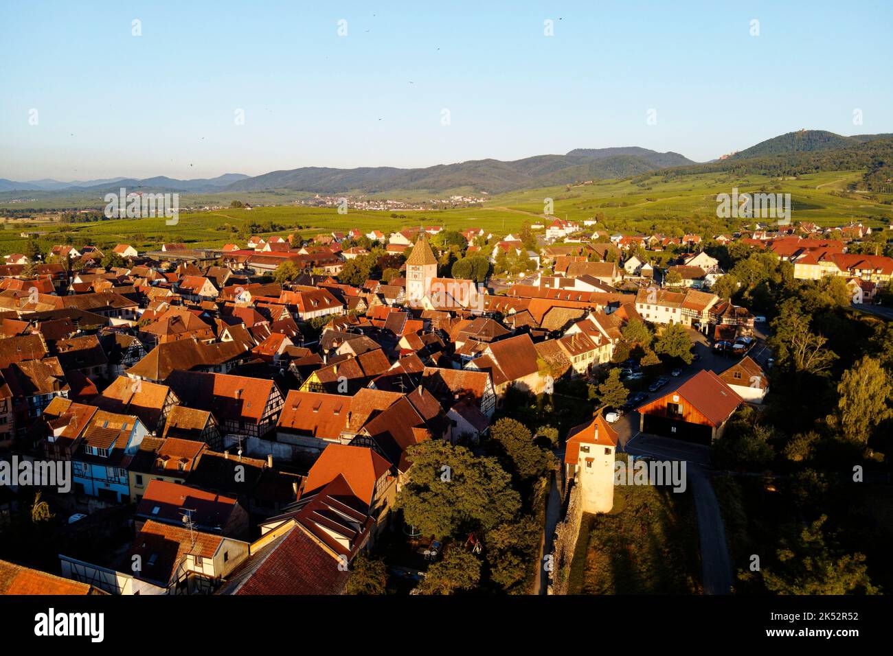 France, Haut Rhin, Alsace wine road, Bergheim, medieval walled ancient ...