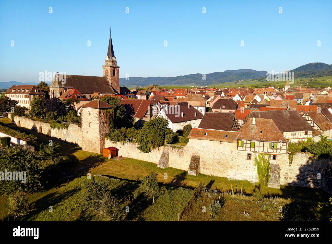France, Haut Rhin, Alsace wine road, Bergheim, medieval walled ancient ...