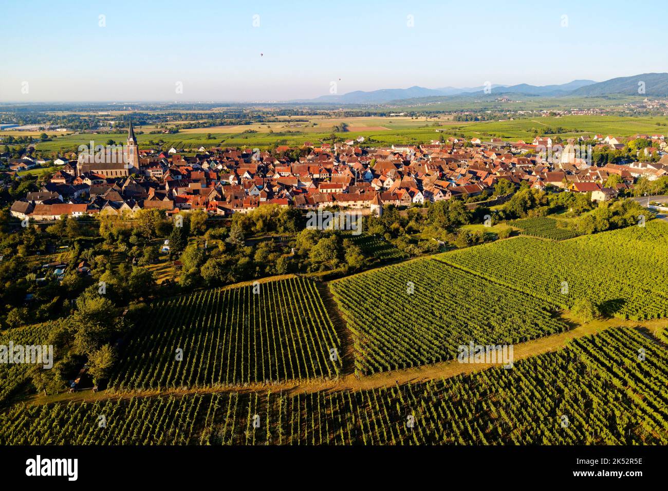 France, Haut Rhin, Alsace wine road, Bergheim, labelled Les Plus Beaux ...