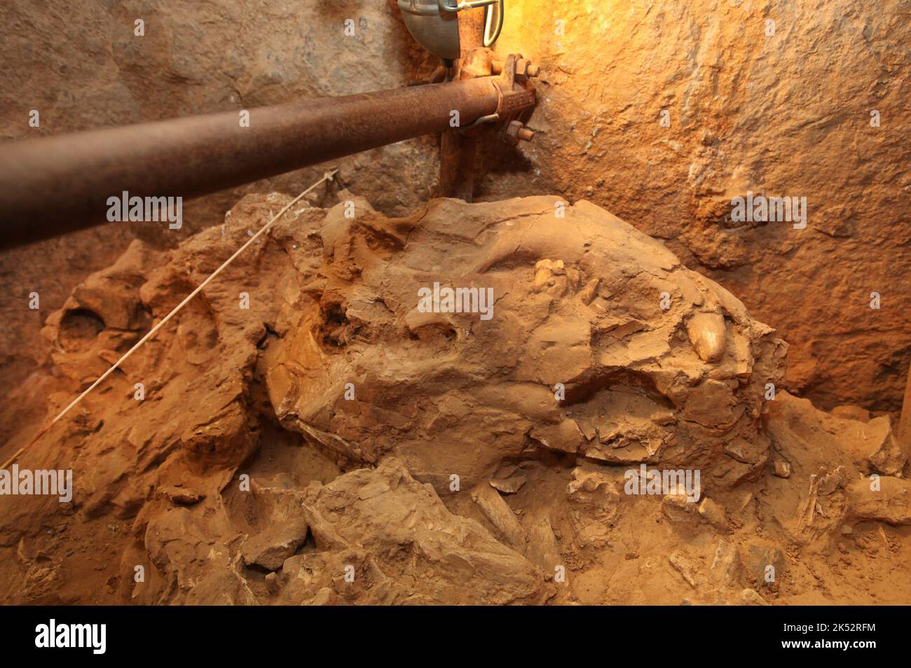 France, Pyrenees Orientales, Tautavel, July 27, 2015, two young French ...