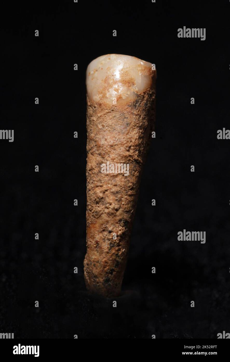 France, Pyrenees Orientales, Tautavel, July 27, 2015, two young French ...