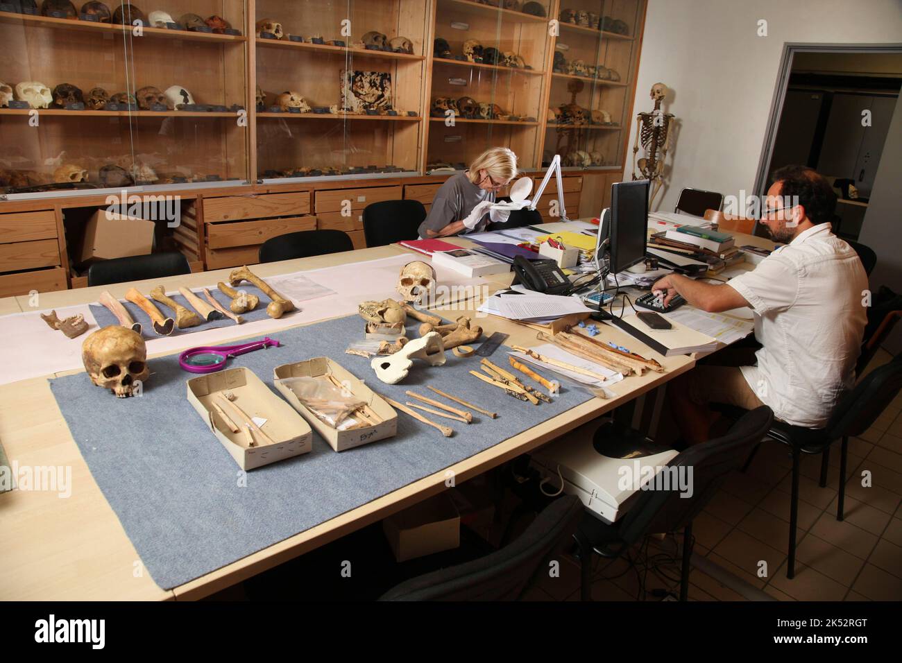 France, Pyrenees Orientales, Tautavel, July 27, 2015, two young French ...
