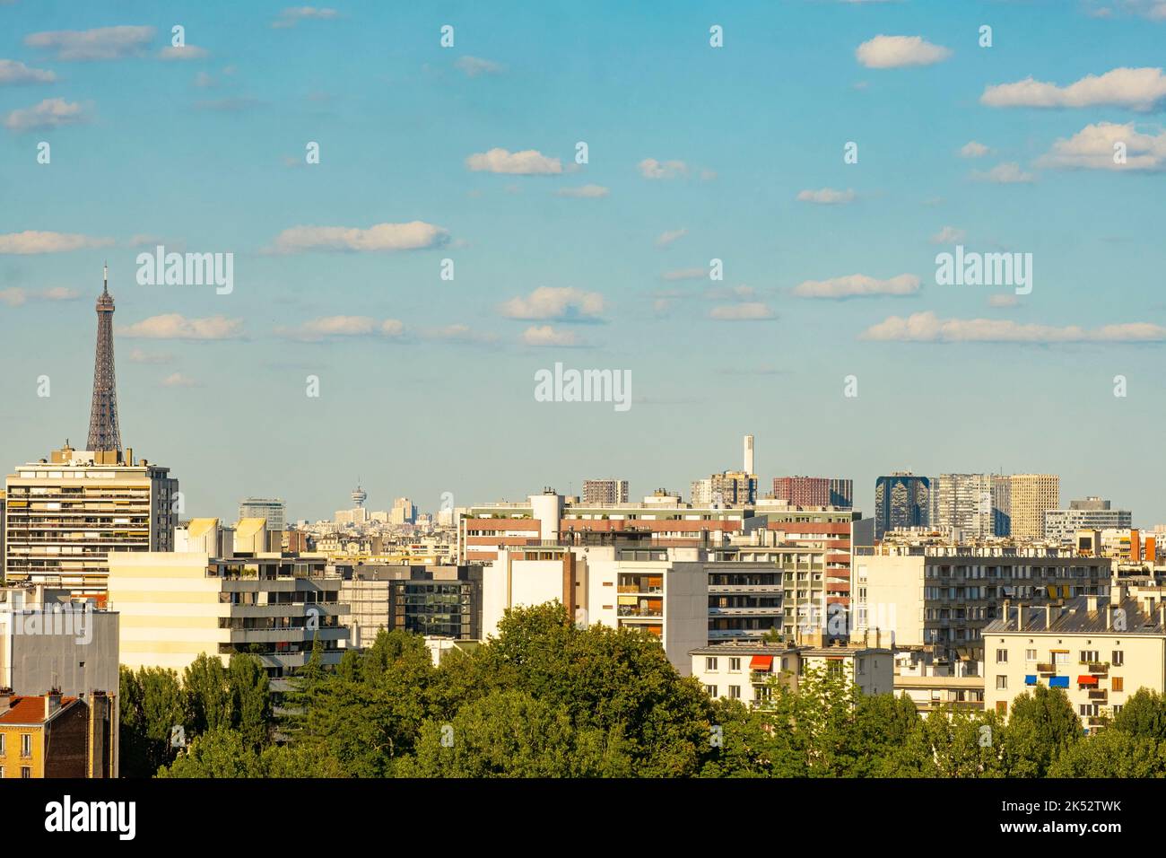 France, Paris, general view of Paris with the Eiffel Tower from the ...
