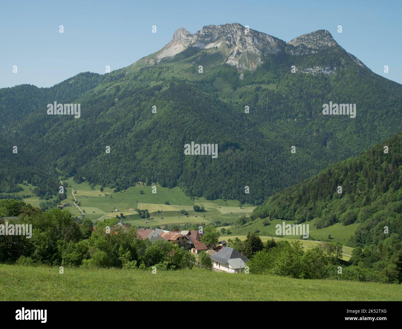 Trelod hi-res stock photography and images - Alamy