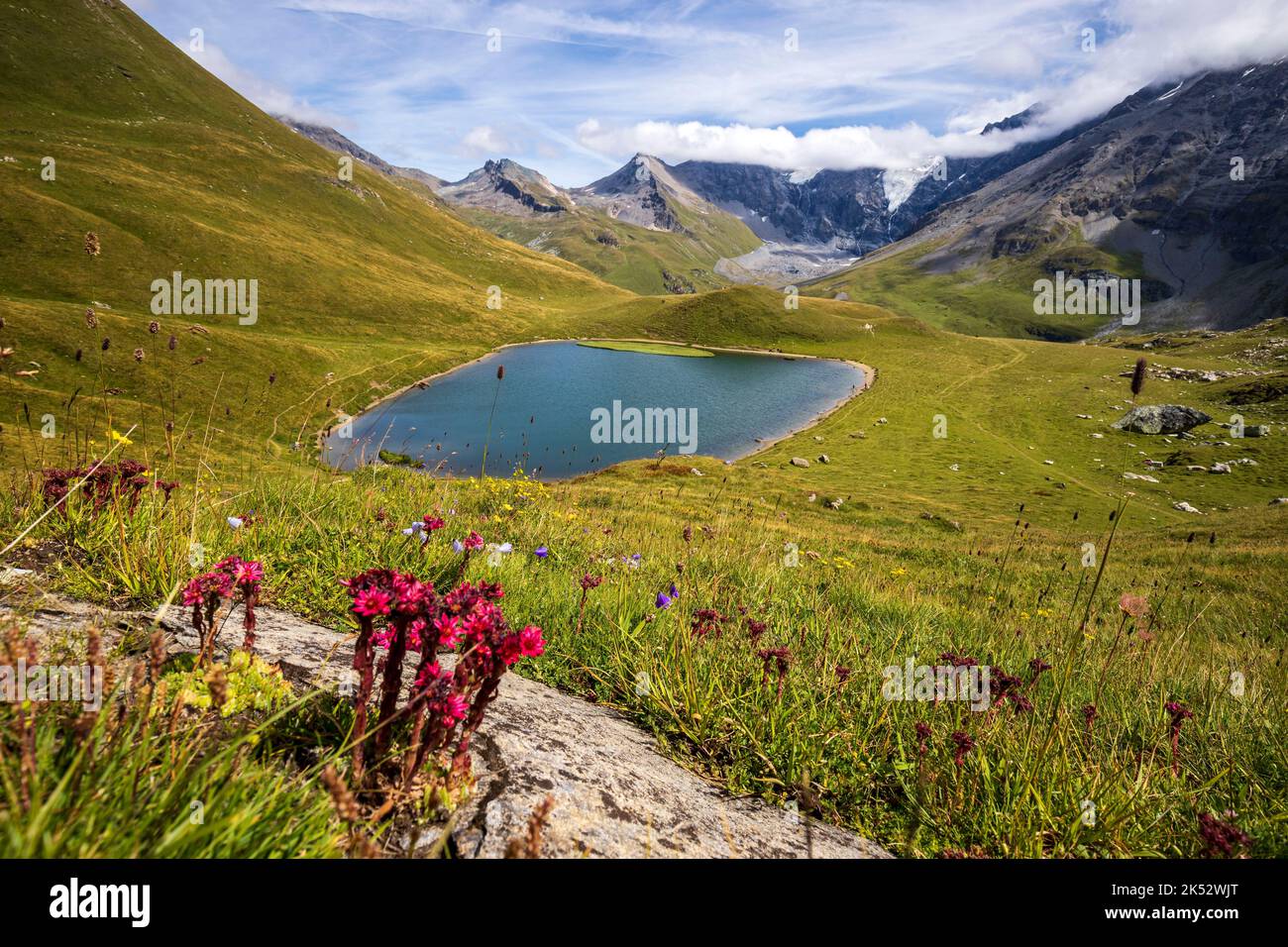 France, Savoie, Haute Tarentaise, Vanoise National Park, Sainte-Foy ...