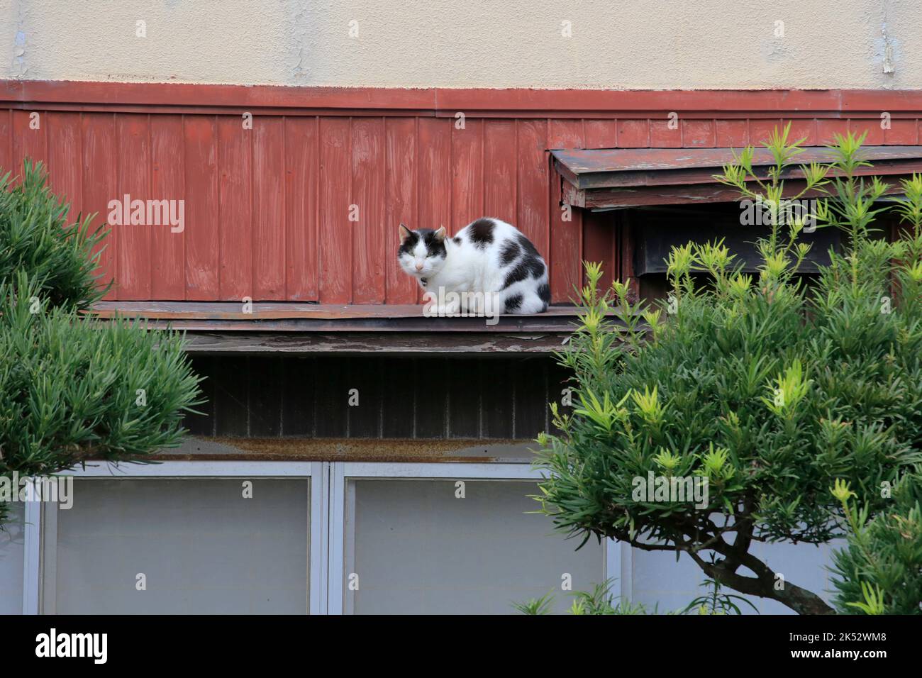 Sawara katori hi-res stock photography and images - Alamy